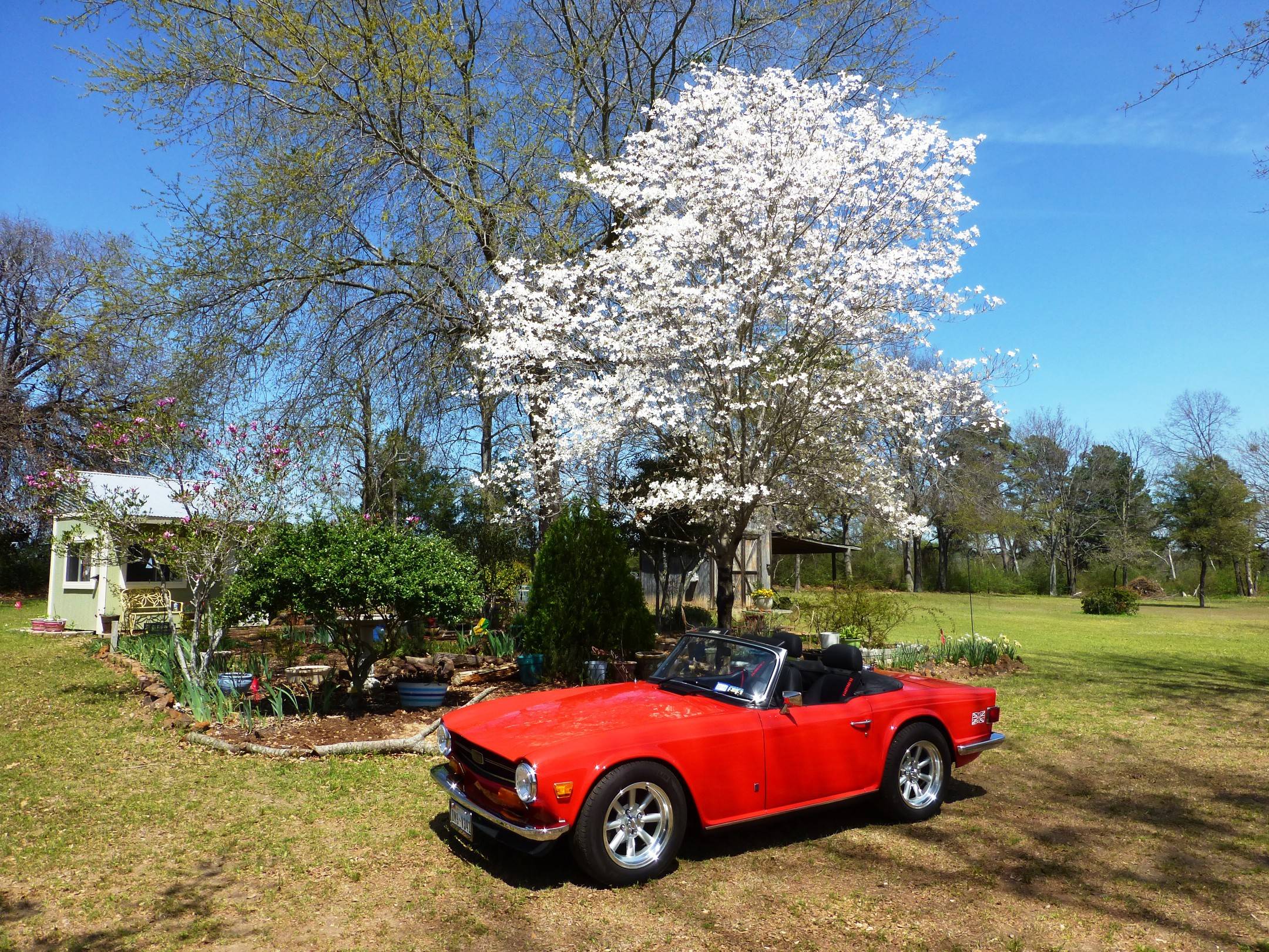 The Cars – Red River Triumph Club